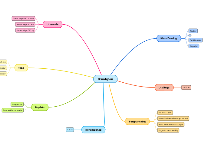 Brunbjörnar - Mind Map